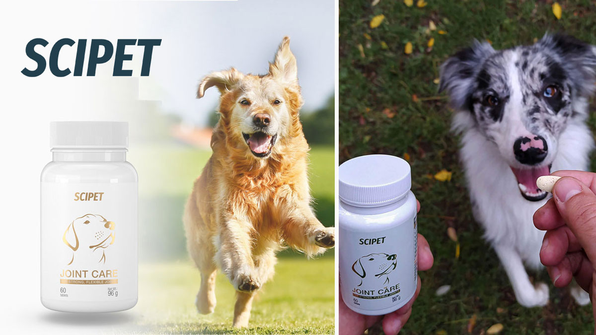 Magazin - SciPet Romania